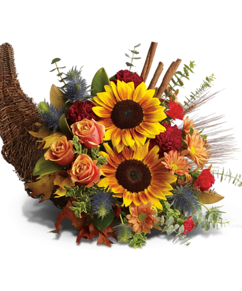 The Cornucopia - A Historical Icon