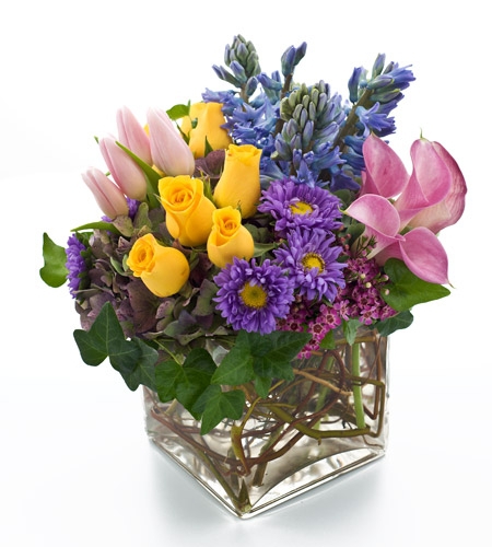 September's Inspiration - Blue Flowers | Griffin's Floral Guides