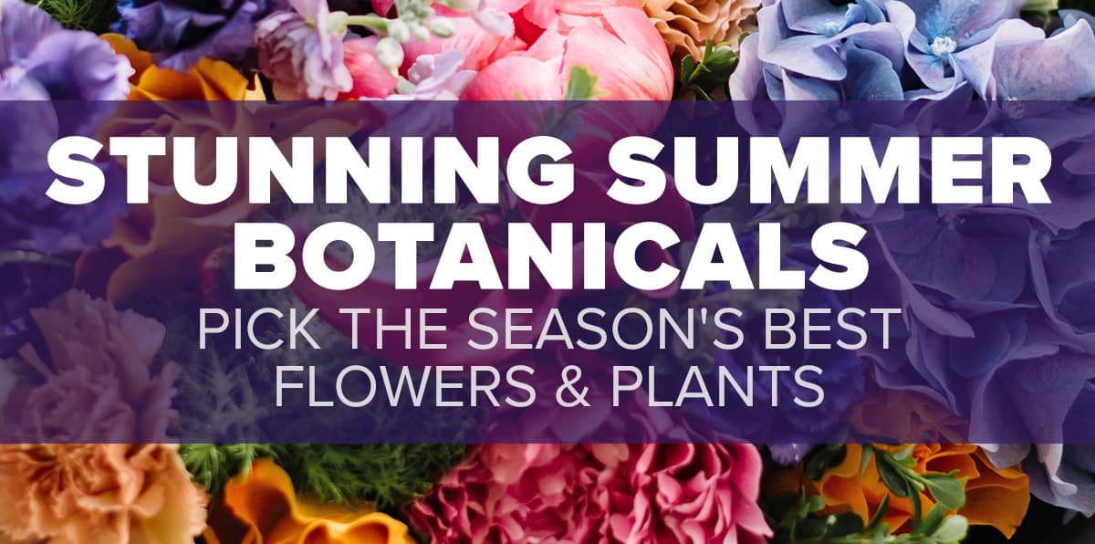 A Guide to Our Favorite Summertime Botanicals