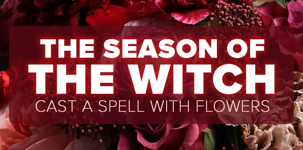 Secrets of the Witch's Garden: Flowers and Their Symbolism